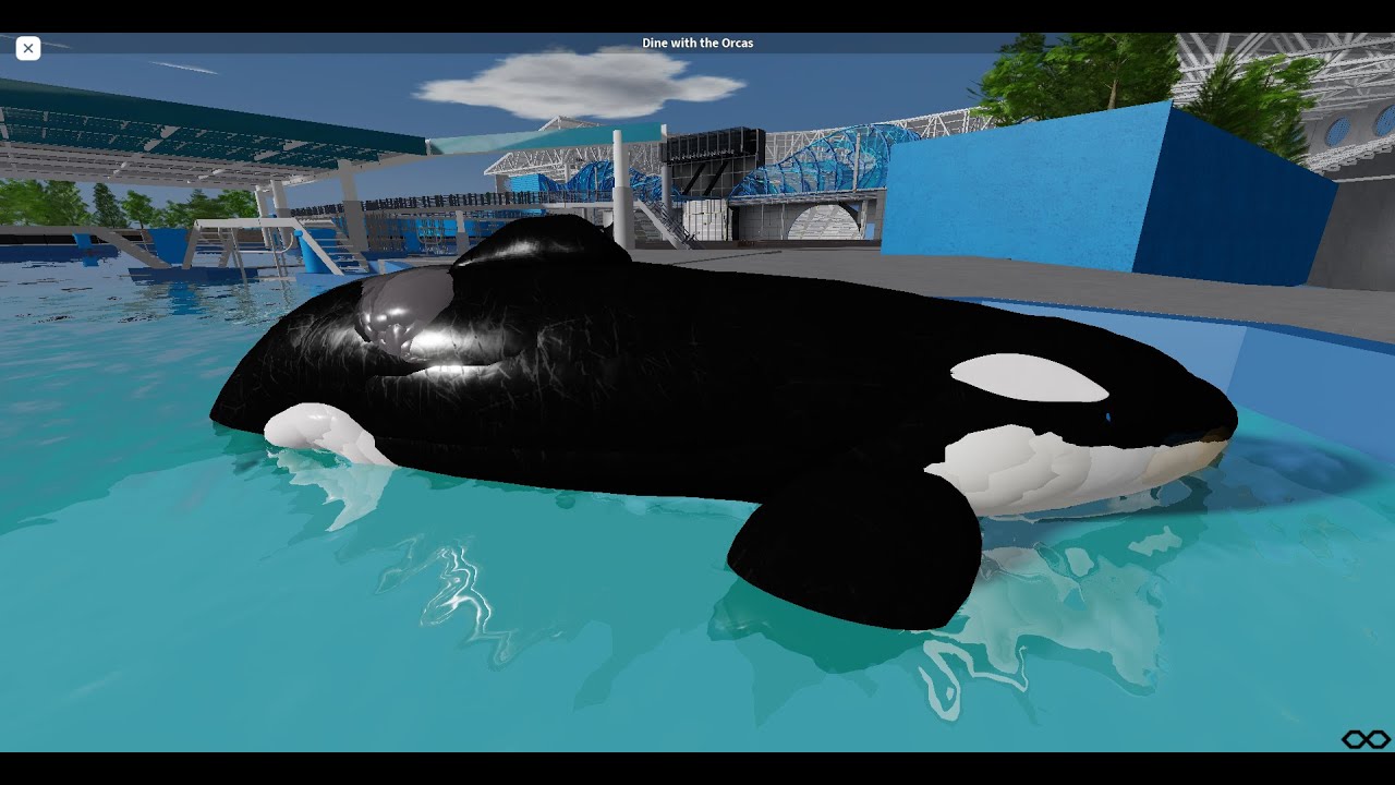 SeaWorld Orlando Roblox Inside Look- Orca Stadium | Crystal Waters ...