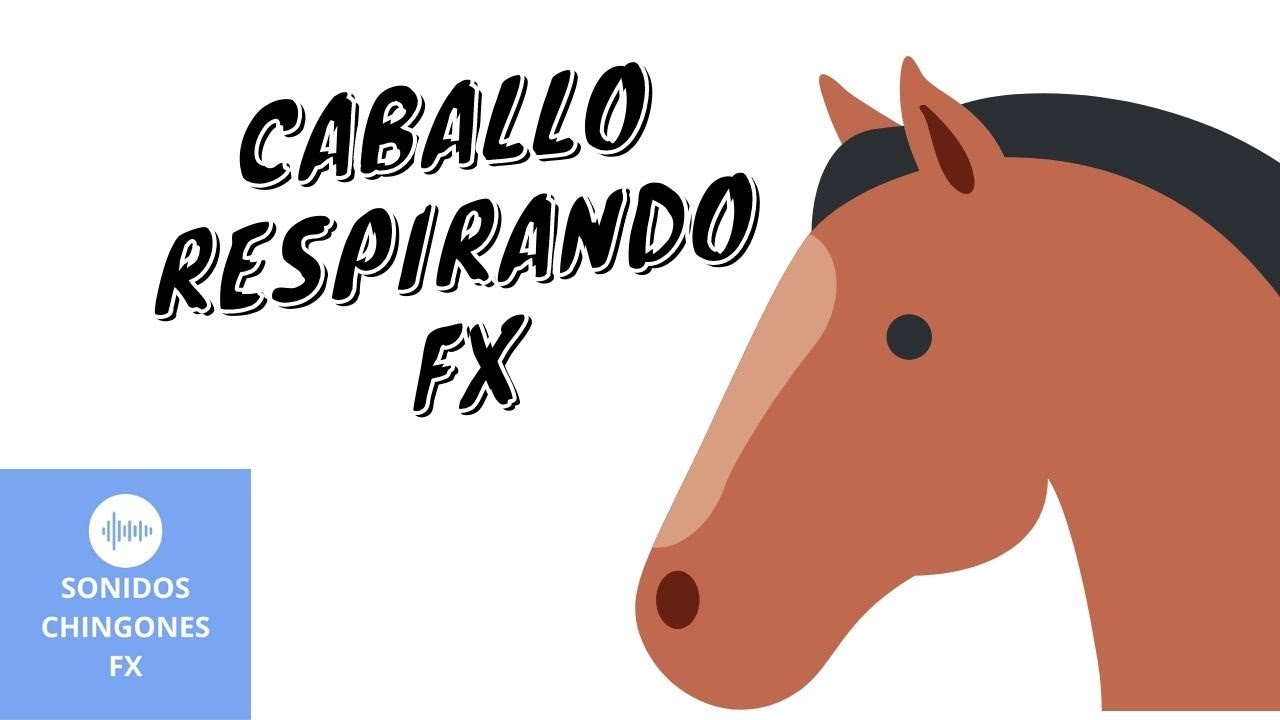 Sonido Respiración de Caballo 🔊 - Efecto de Sonido - YouTube