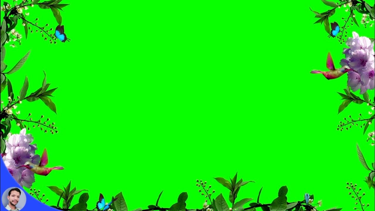 Nature Green Screen Effects / Green Screen Background Video Effects hd ...