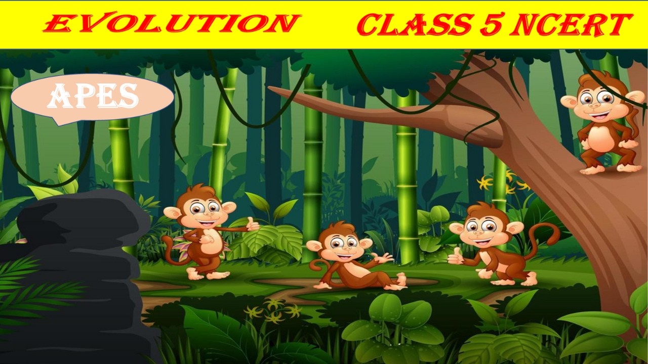 "Class 5 History : The Journey of Apes -NCERT "From Apes to Humans ...