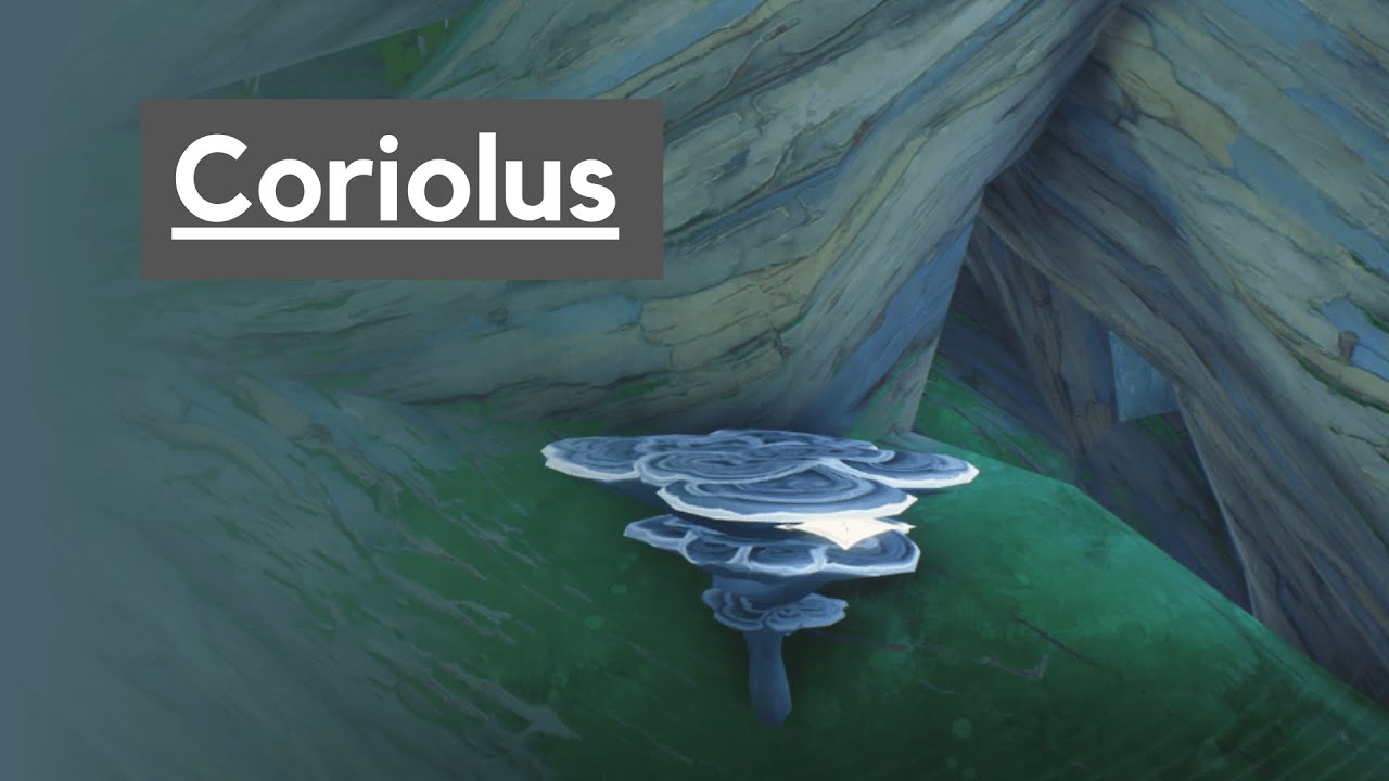 Route de Materiaux d'élévation de personnage - Coriolus - YouTube