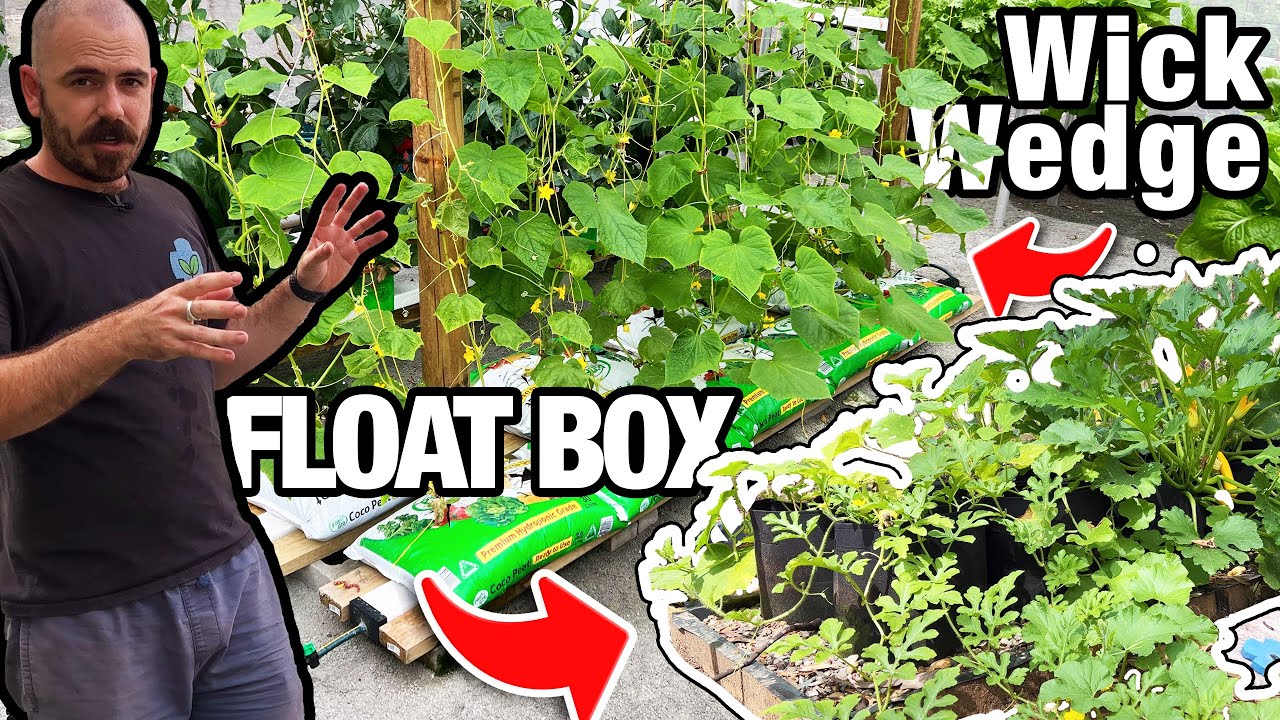 Float Box & Wick Wedge Hydroponic System Update - YouTube