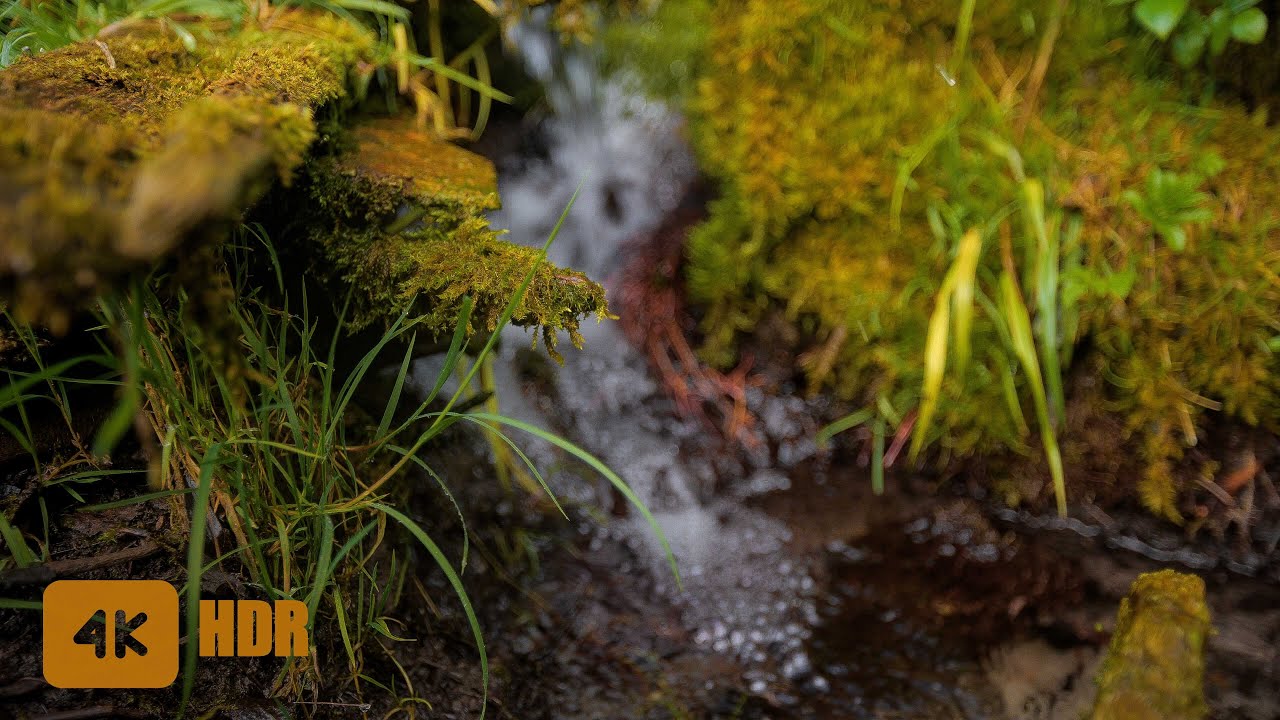 Relaxing Spring Ambience _ Small Quiet Waterfall _ Sounds Of A Stream ...