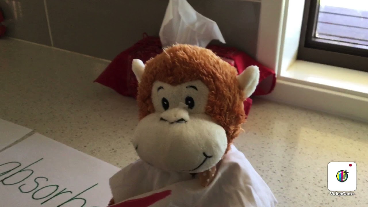 Science Monkey Explores Precipitation - YouTube