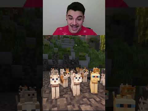 Kediler beni kurtardı!🐱 #minecraft #minecraftstory #shorts #keşfet #viral