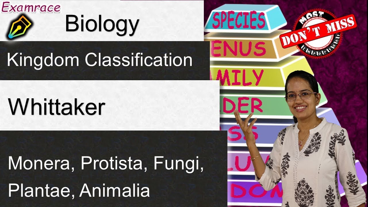 Whittaker 5 Kingdom Classification - Monera, Protista, Fungi, Plantae ...