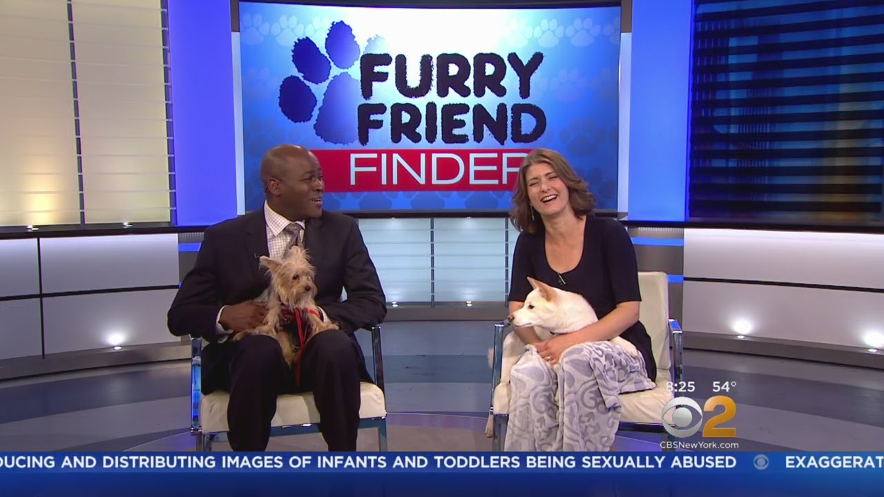Furry Friend Finder: Oscar And Goldie - YouTube