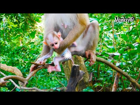 Very busy baby MARCO, he isn't afraid to fall. - YouTube