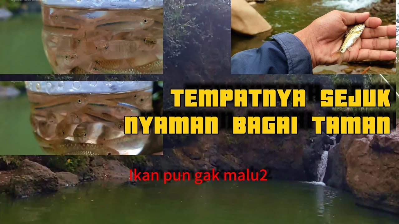 Mas Anang sampe gak mau pulang || Gak bakal BONCOS mancing disini - YouTube