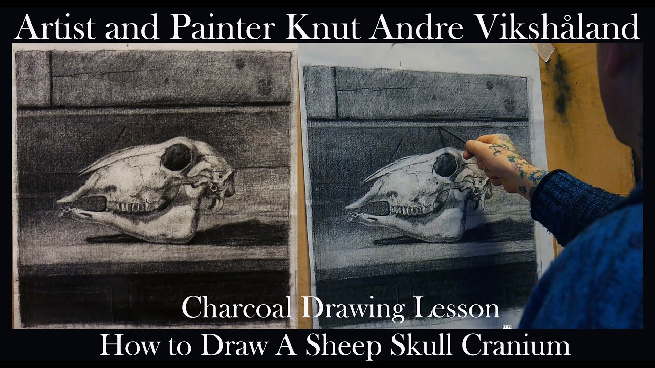 Charcoal Drawing Lesson - How to Draw Sheep Skull Cranium - Artist and ...
