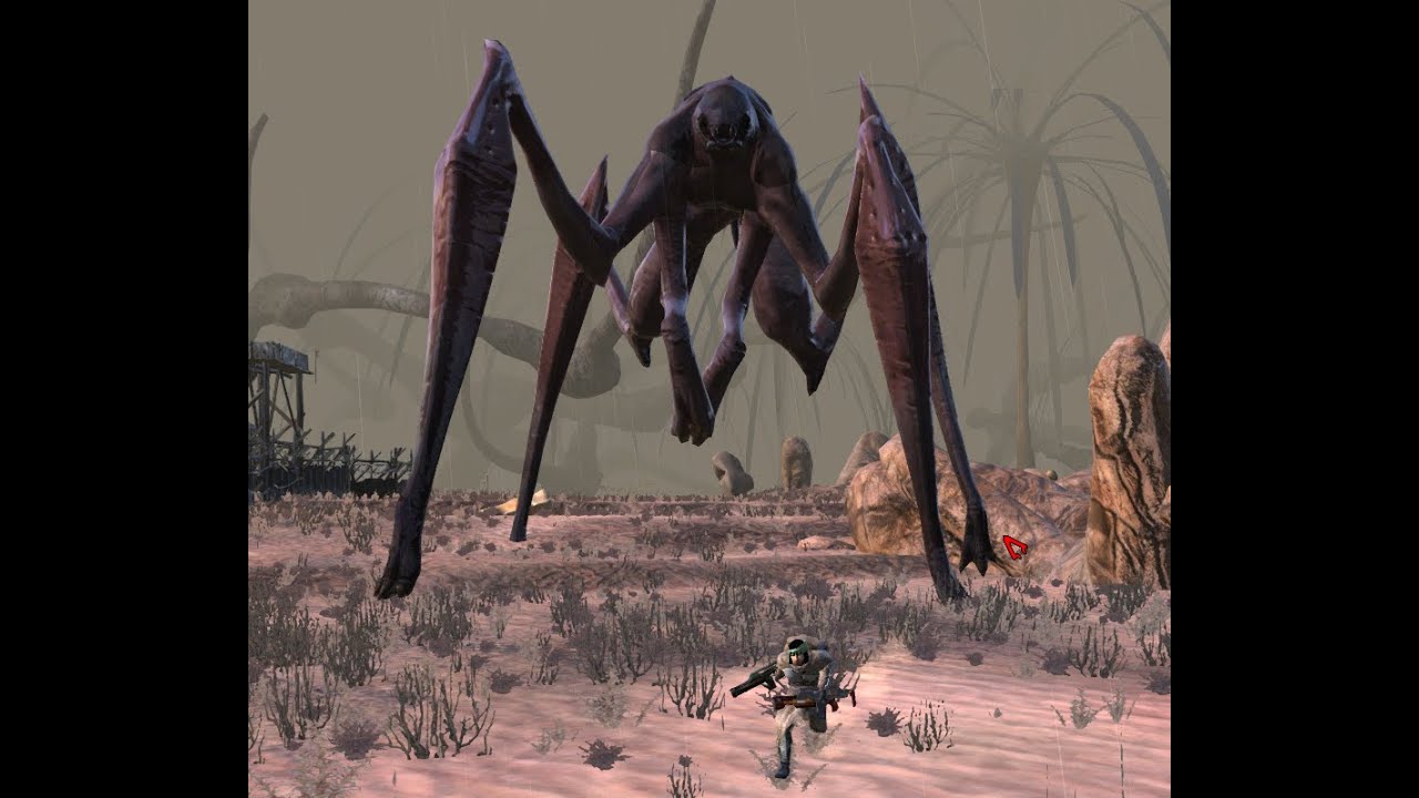 Kenshi: Episode 13 - Mutant Blood Spider - YouTube