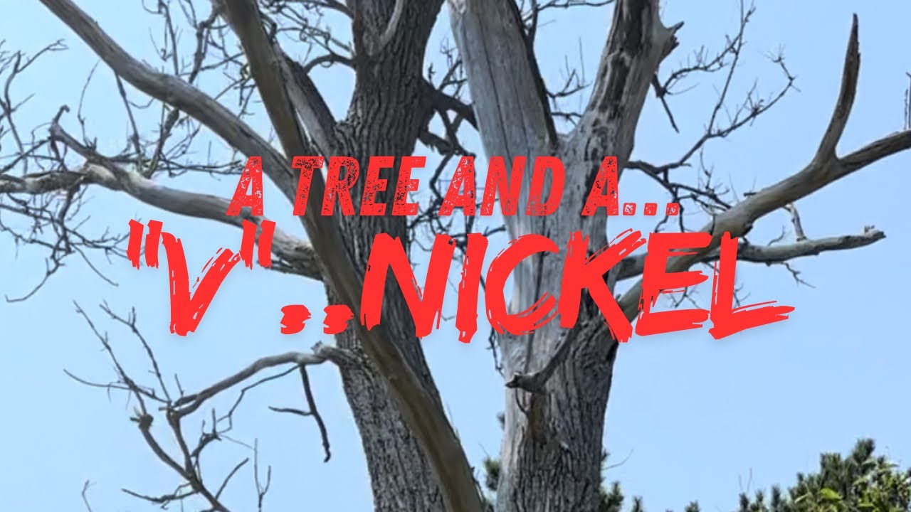 A Tree & A “V”… Nickel - YouTube