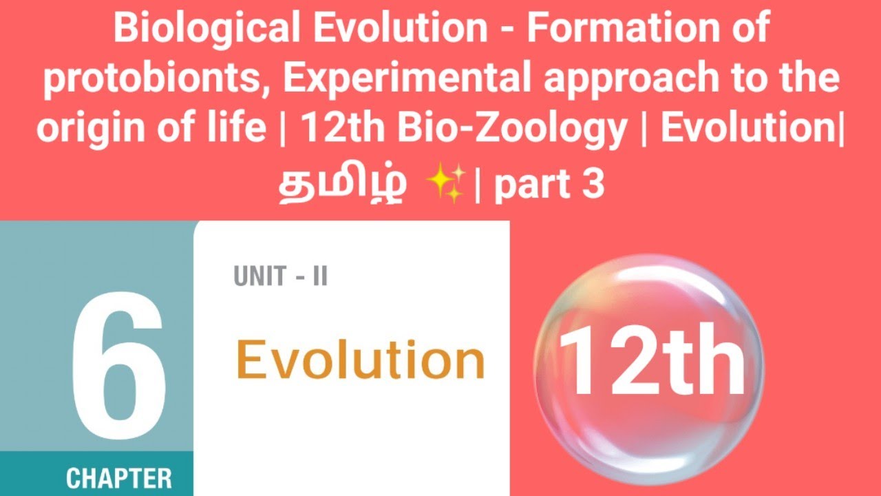 Biological Evolution - Formation of protobionts | 12th Bio-Zoology | Evolution| தமிழ் | part 3 ...