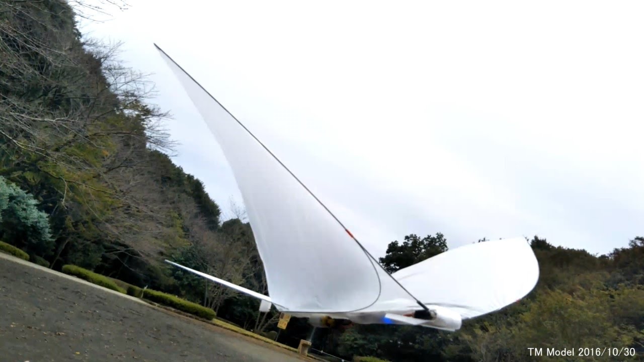 Servo drive ornithopter first unit - YouTube