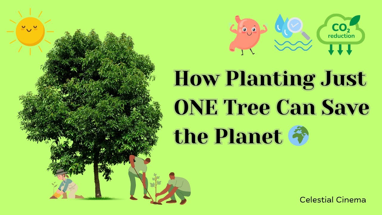 The Power of a Single Tree 🌳| Celestial Cinema - YouTube