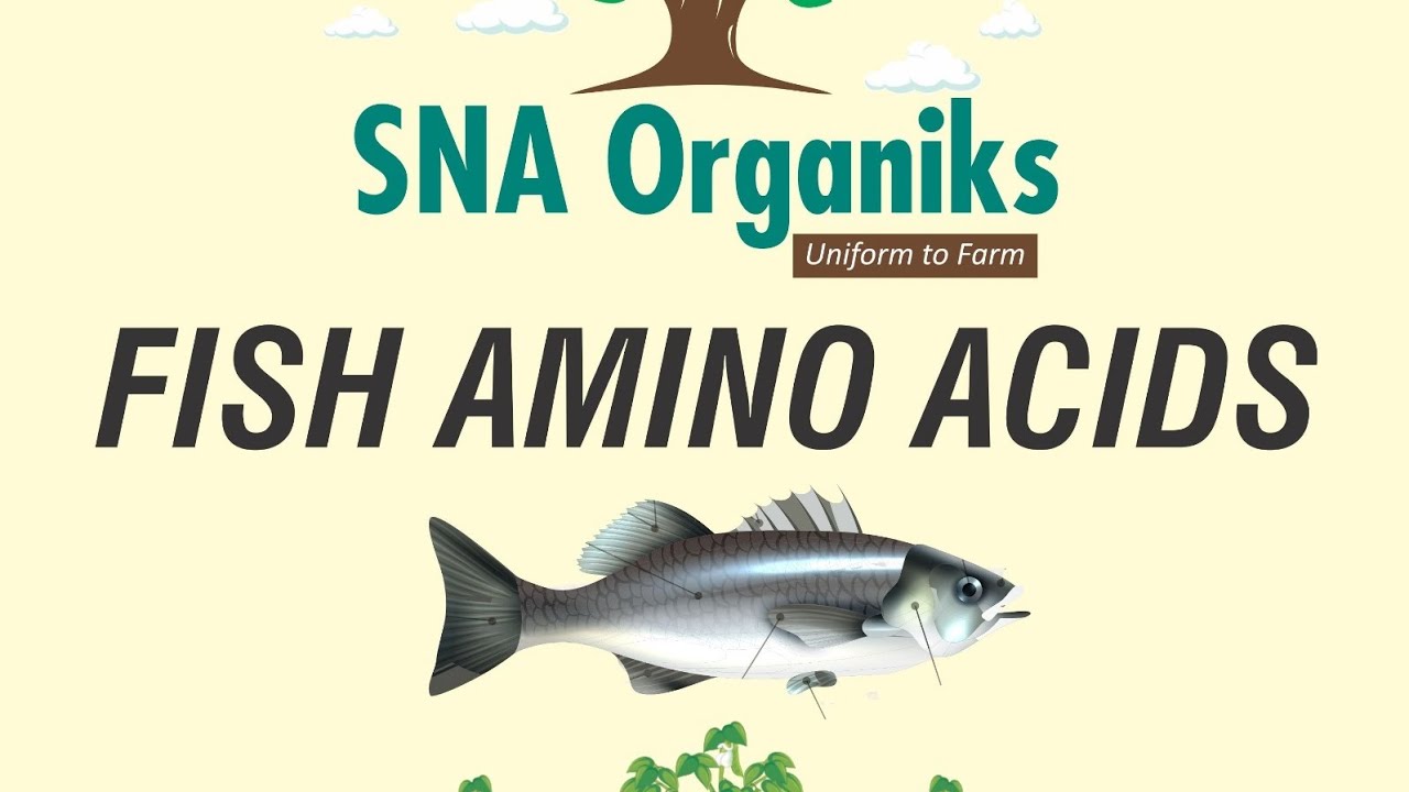 Fish Amino Acid - 100% organic - for your plant & Trees . இயற்கை ...