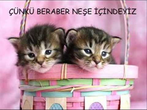 kürtce damar ez aske teme