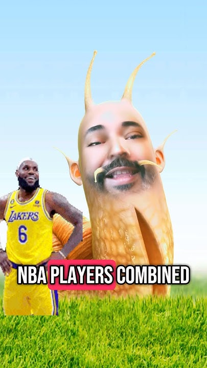 Snail Wisdom🚨 LeBron got nothing on… #funny #funnymemes #untilwemeetagain #comedy #skeletormemes ...