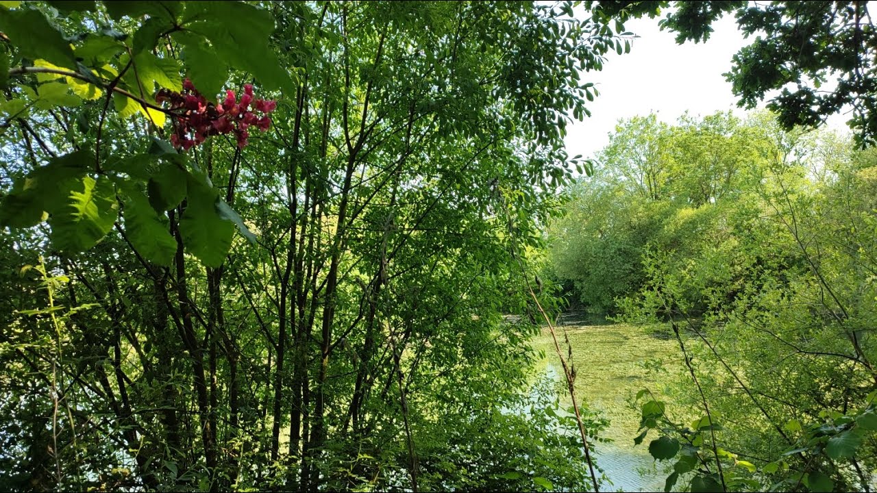 Walking The Welsh Countryside. Fresh Water Springs - Fields and ...
