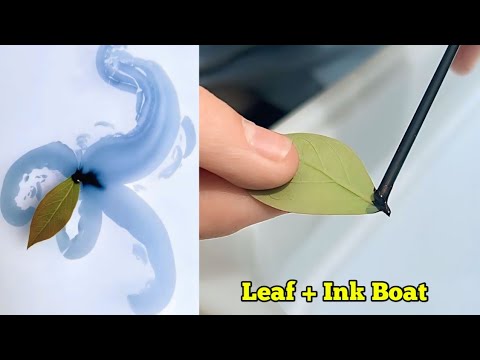 Blowing Leaf + Ink Boat⛵ Experiment - YouTube