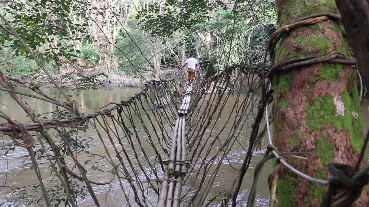 Walking on a "MONKEY BRIDGE" that crosses MANO river in Mbaloma ...