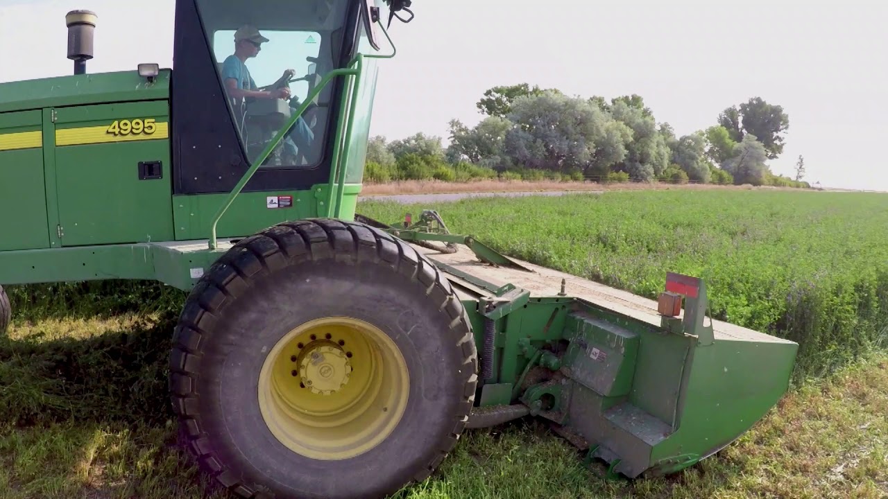 Ask a Farmer: What is green chopping? - YouTube
