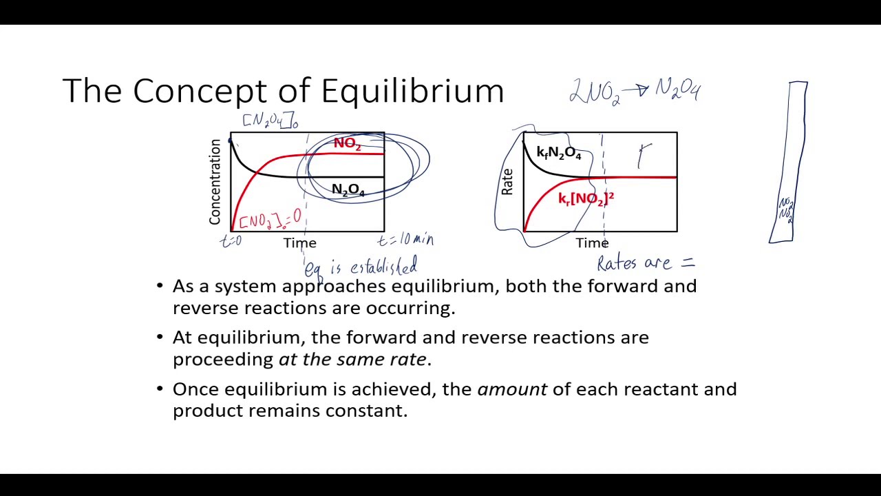 Introduction to Chemical Equilibrium: General Chemistry Lecture - YouTube