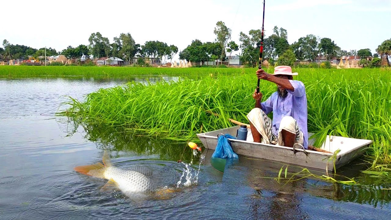 Best fish hunting video - Professional fish hunter catching fish by ...