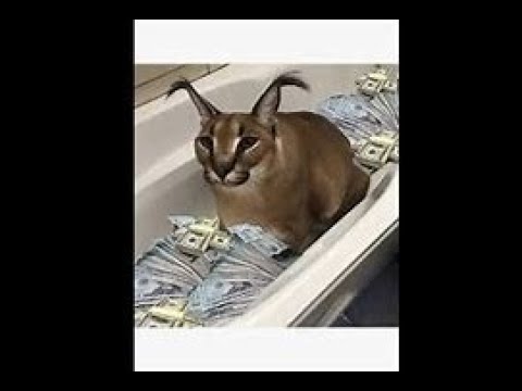 Top 5 Floppas - YouTube