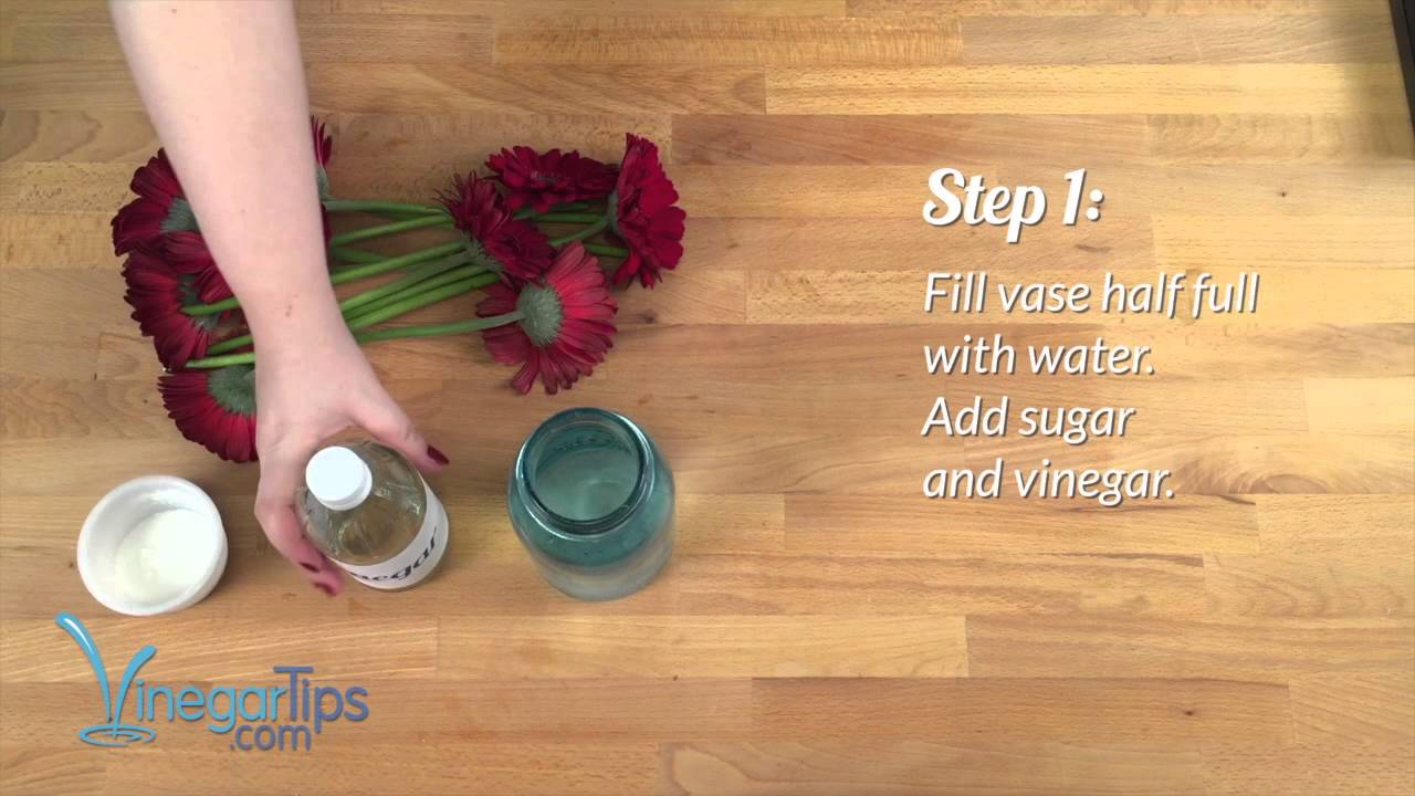 Extend the Life of Flowers - YouTube