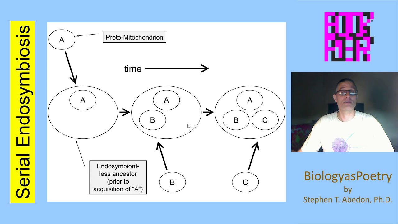 Serial Endosymbiosis - YouTube