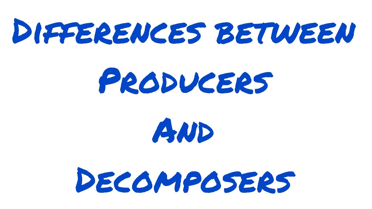 Differences between producers and decomposers || Class 9|| Nature and ...
