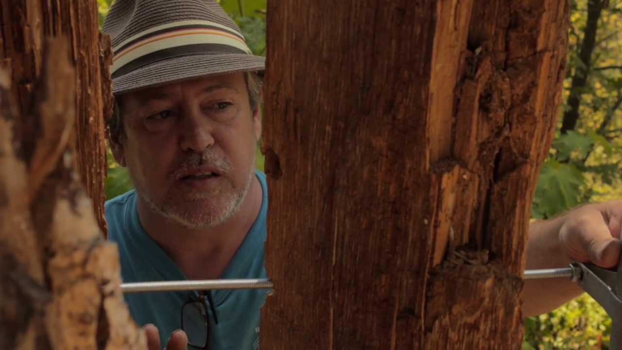 ART OnSite Artist Profile - Mark Brest van Kempen - YouTube