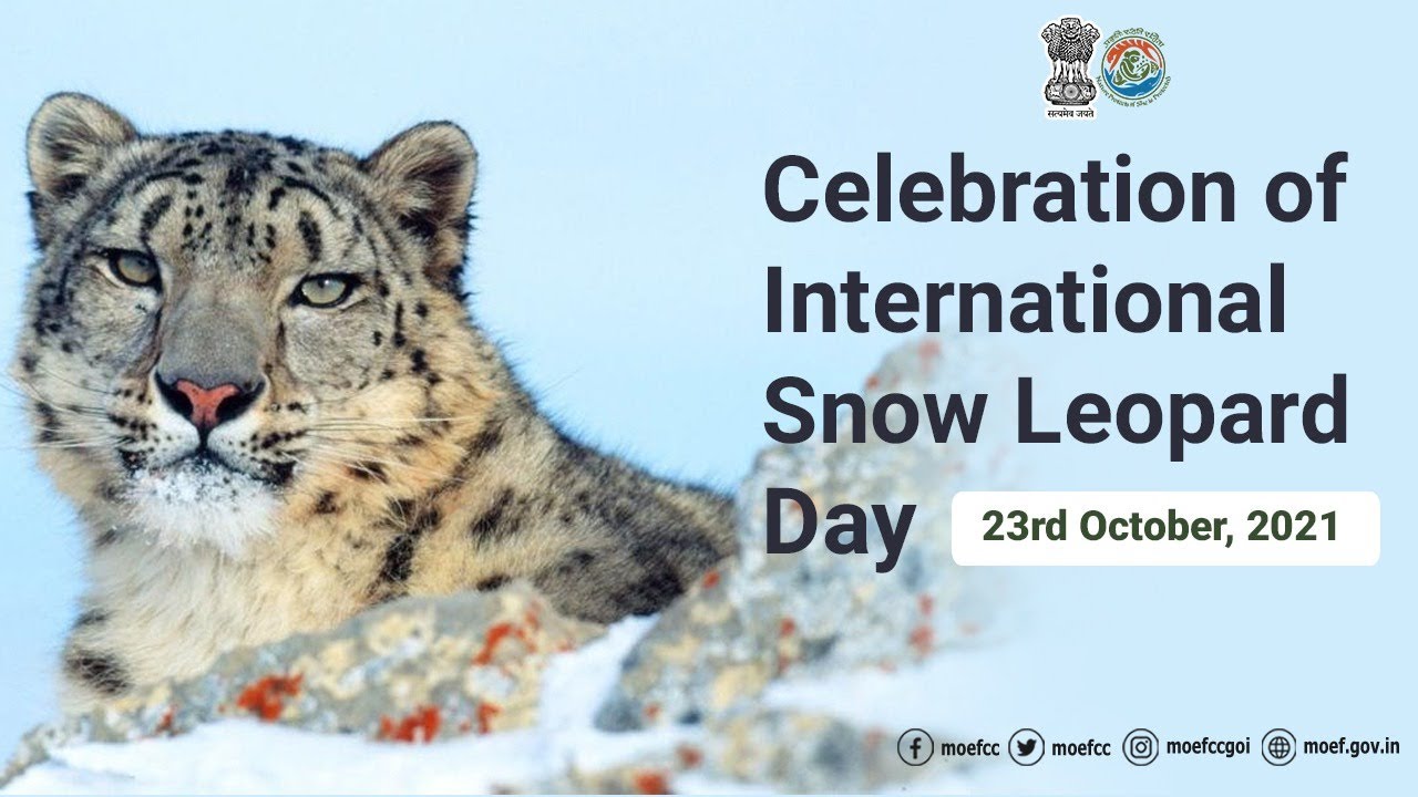 Webinar on International Snow Leopard Day, 2021 - YouTube