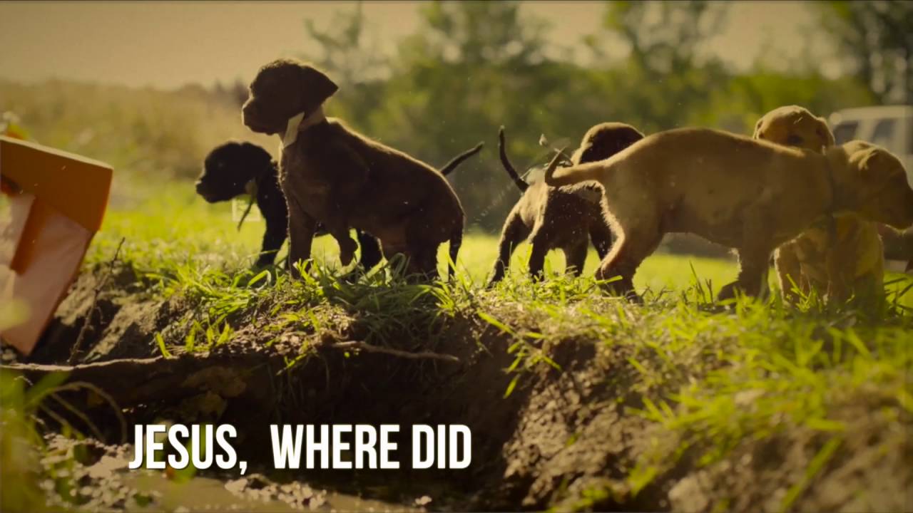 "Where Do All The Doggies Go?" Steve Pullara's "Key Ring of Faith" - YouTube