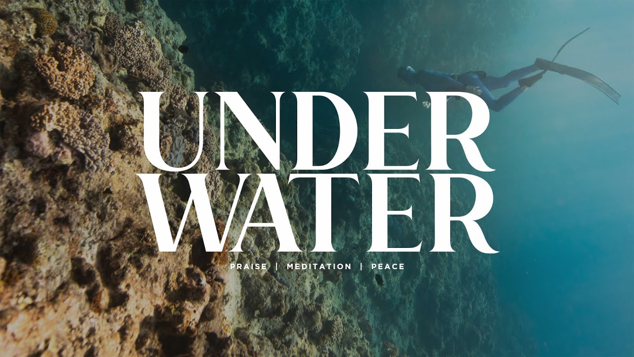 20 Minutes of Amazing Underwater Footage with Relaxing Background Music ...