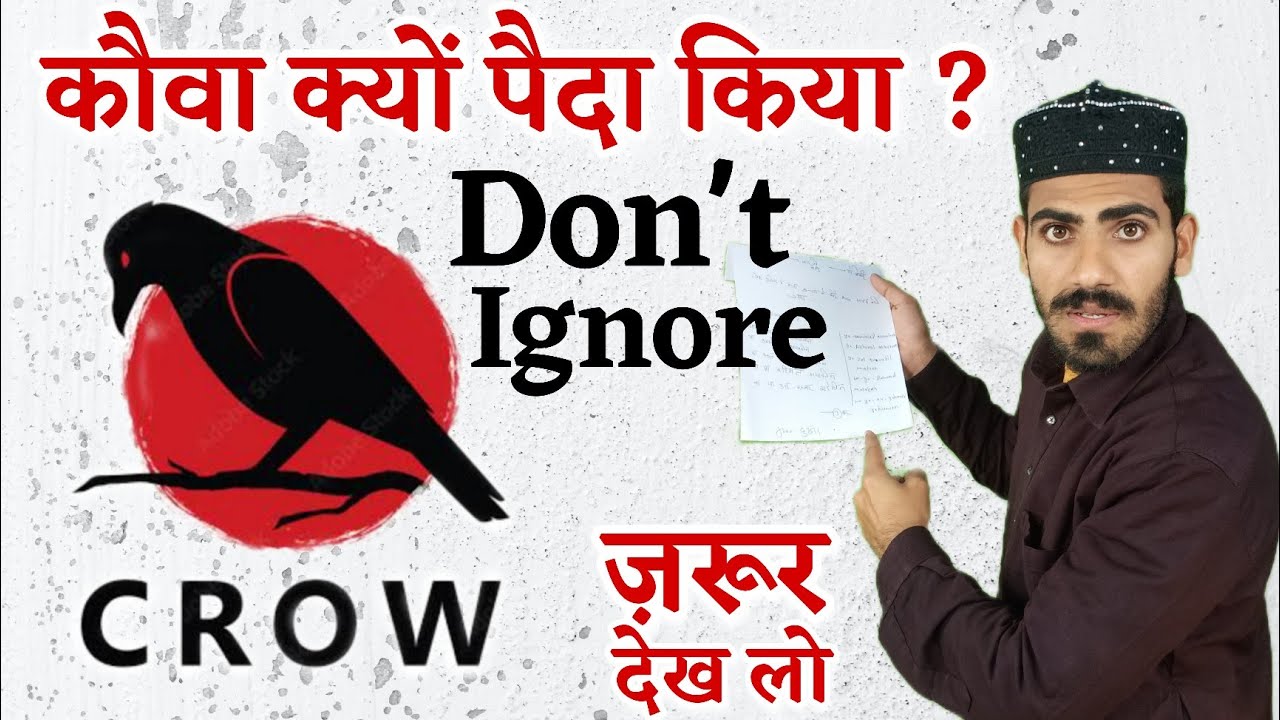 Don't Ignore This Video : Why God Created Crow ? | Crow in Islam ...
