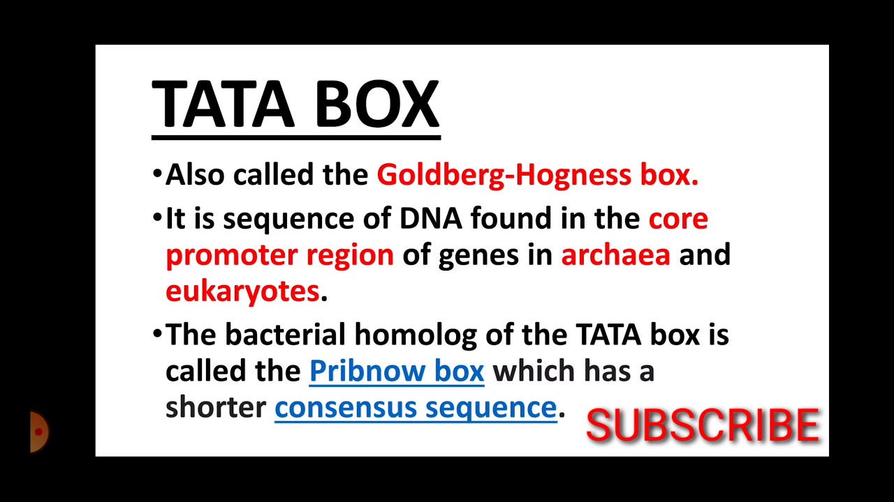 TATA BOX | #LIFESCIENCE #BIOLOGY #MOLECULARBIOLOGY #BIO #TATA #BOX # ...
