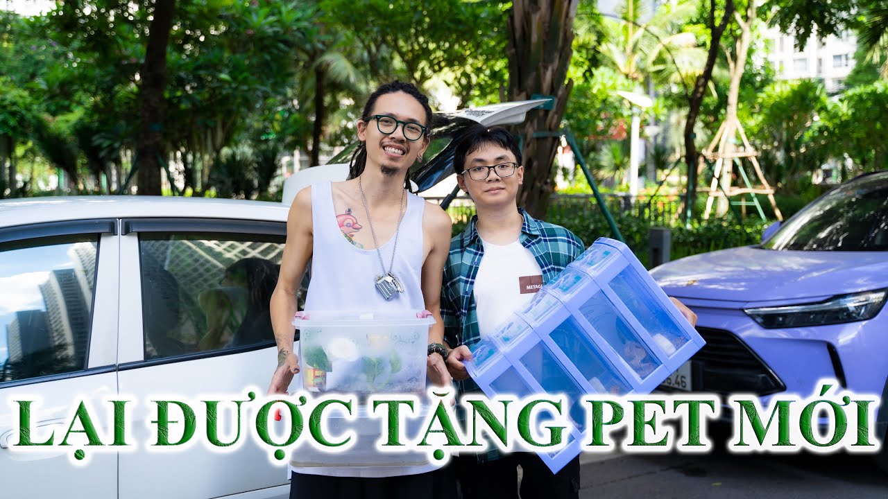 Lại được tặng thêm rất nhiều Pet mới | WILDVN TV - YouTube