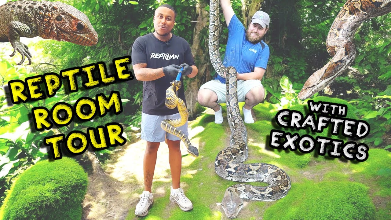 Exotic Reptile Room Tour🤯!!! - YouTube