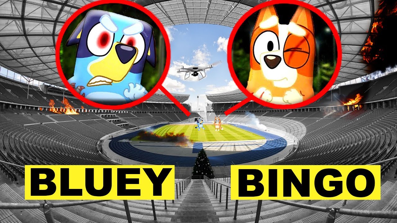DROHNE überwacht BLUEY und SCHWESTER BINGO in REAL LIFE um 3 UHR ...