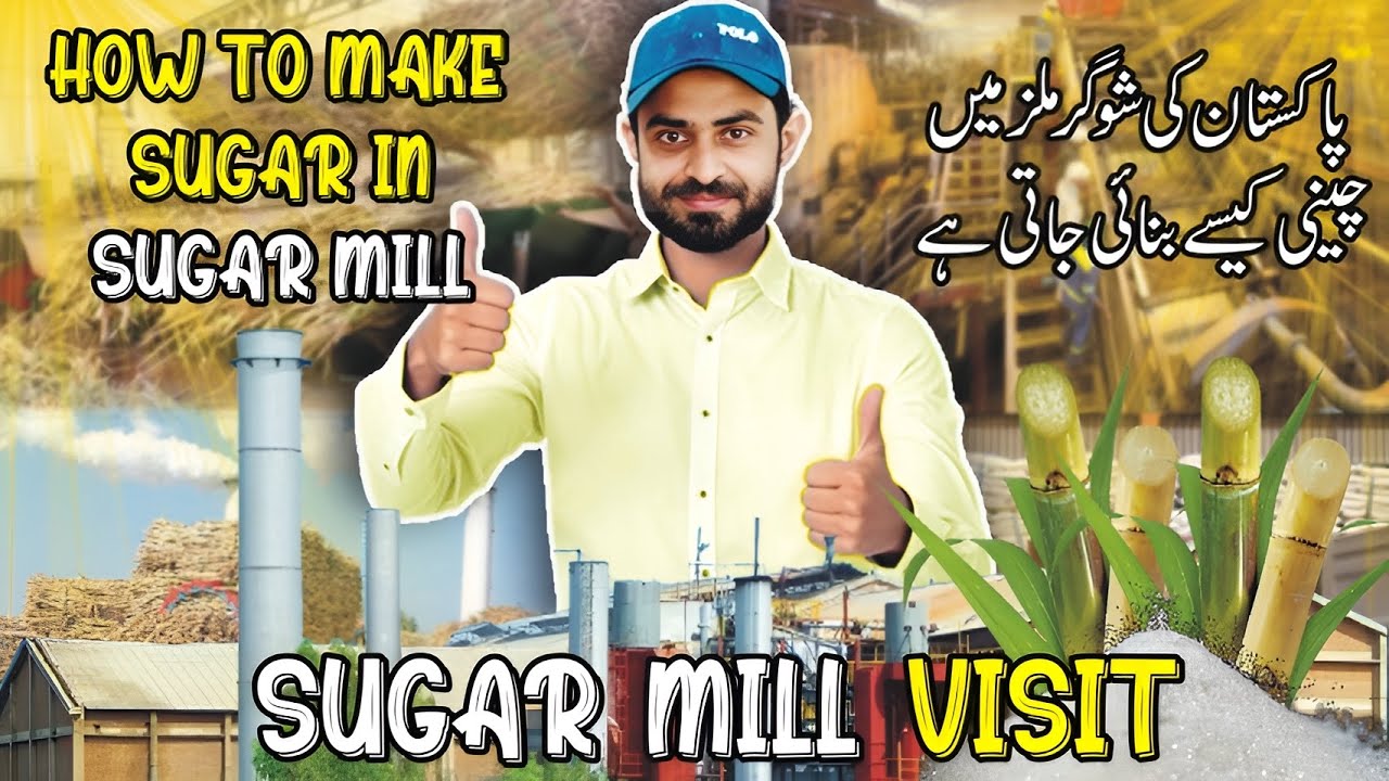 How To Manufacturing #shortsvideo From Sugarcane In Sugar Mill With All ...