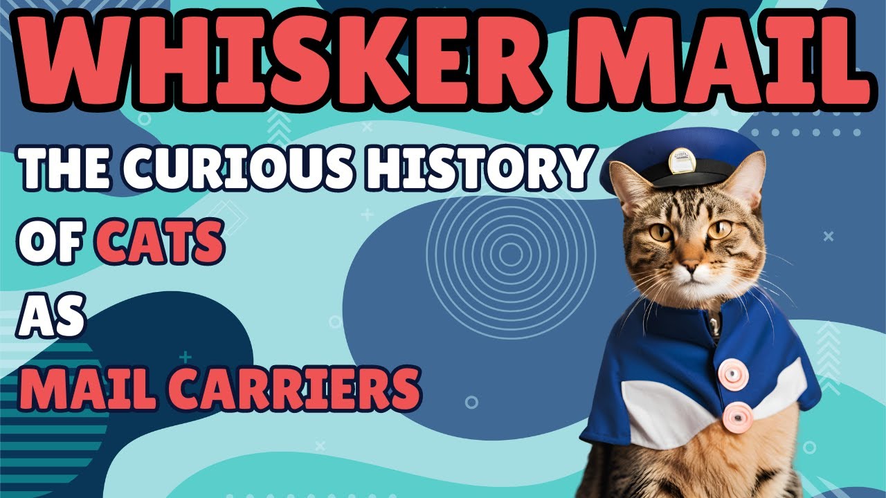 Whisker Mail: The Curious History of Cats as Mail Carriers - YouTube