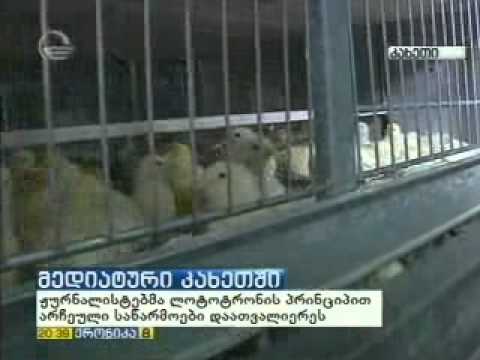 ახალი საწარმოები კახეთში - YouTube