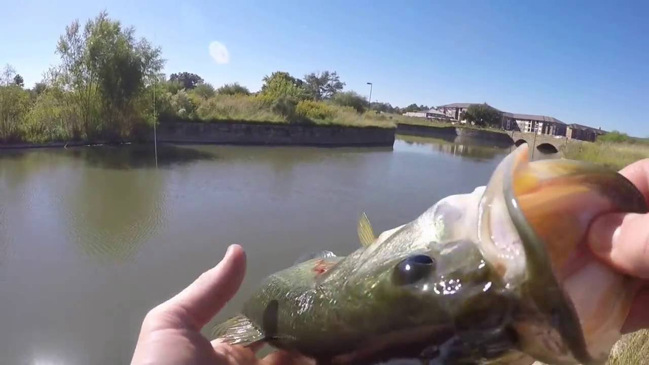 man-made pond fishing - YouTube