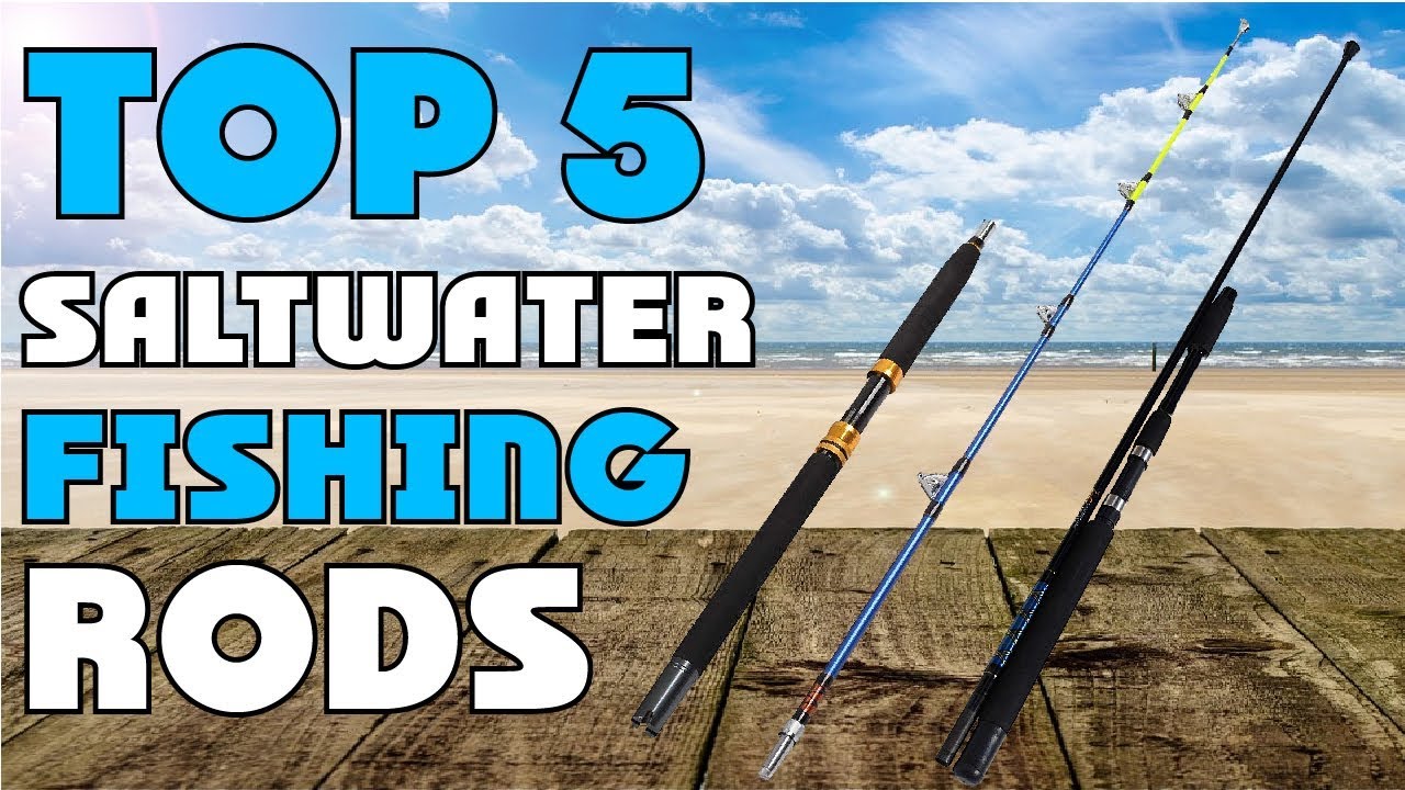 Best Saltwater Fishing Rods of 2024 | Saltwater Fishing Rods Buying ...