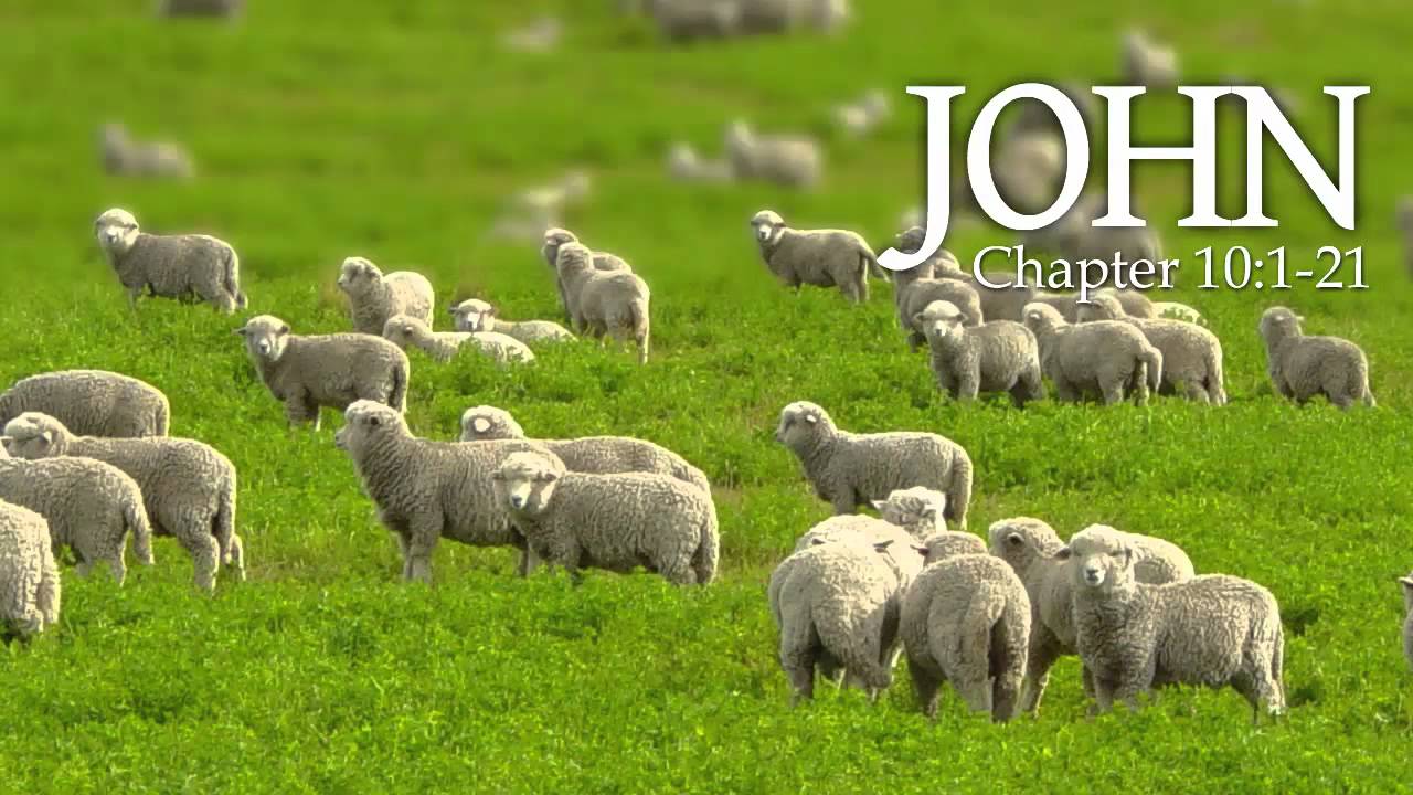 Verse By Verse John 10 1 21 YouTube Verse By Verse John 10 1 21 YouTube