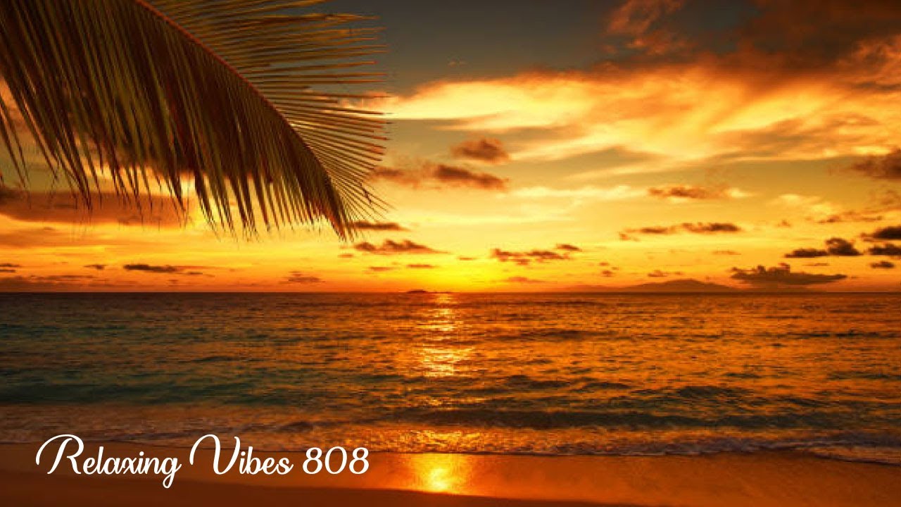 Relaxing Piano & Relaxing Music, Beautiful Piano --- | Relaxing Vibes ...