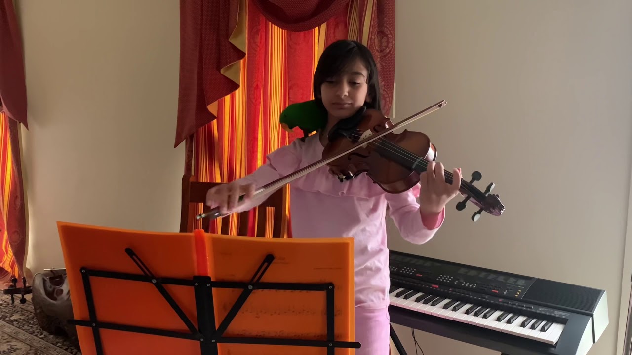 Playing my violin with Archer - YouTube