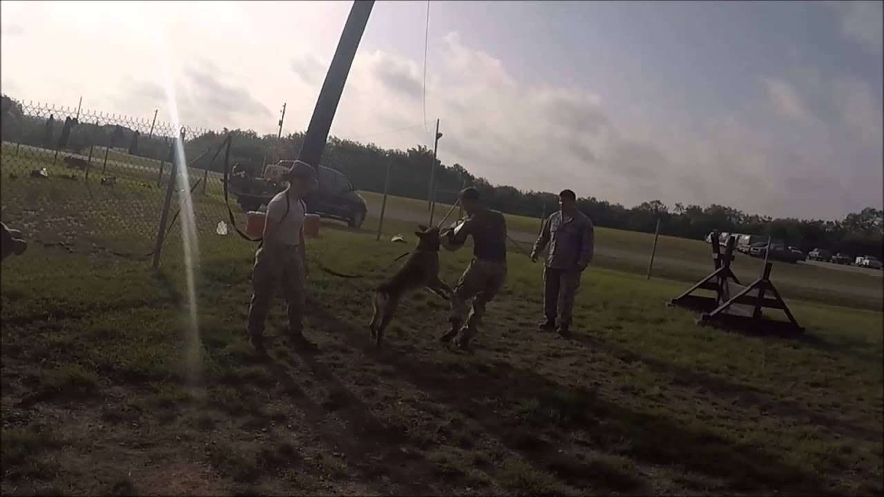 MWD Team 6 Graduation Video. - YouTube